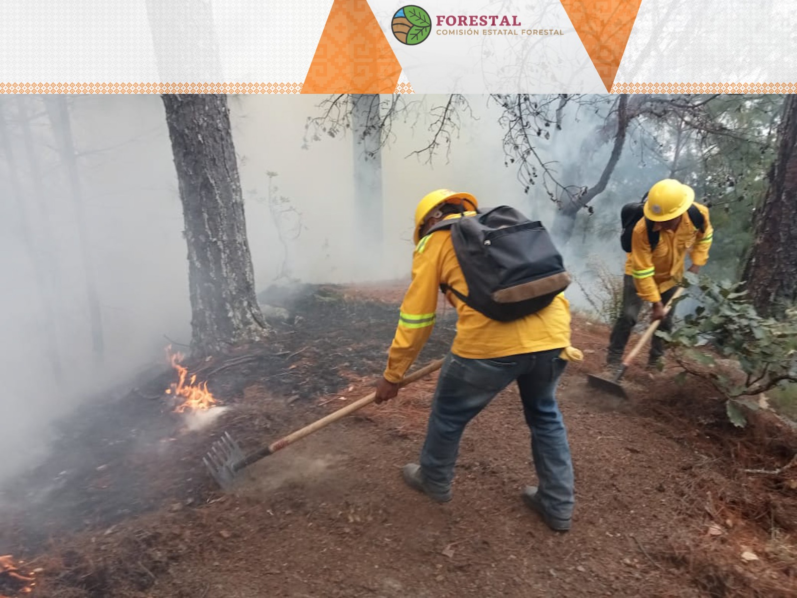 Dependencias trabajan para sofocar los incendios en San Juan Quiotepec ...