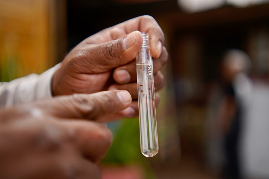 Convoca SSO no descuidar las medidas preventivas contra el dengue ...
