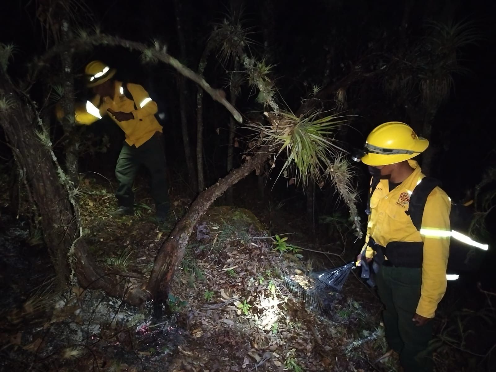 Sofocado incendio forestal en Santo Domingo Xagacía – Oaxaca Hoy