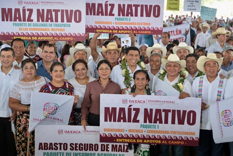 Invierte Primavera Oaxaqueña 79 mdp para transformar el campo en la ...